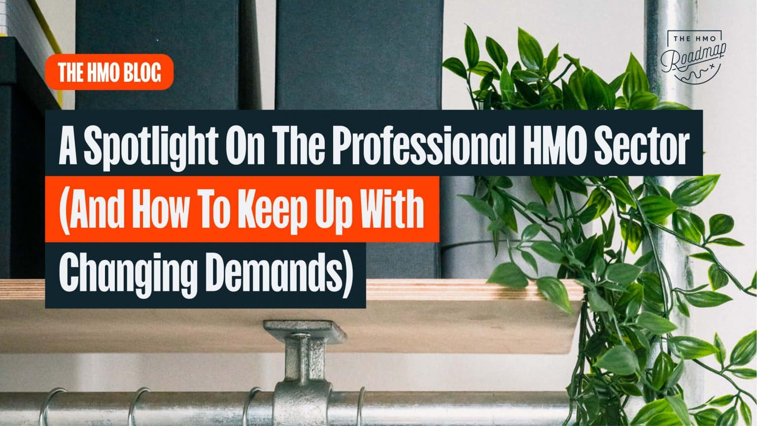 A Spotlight On The Professional HMO Sector (And How To Keep Up With ...